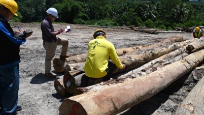 Asian Forestry Company (Sabah) Sdn Bhd