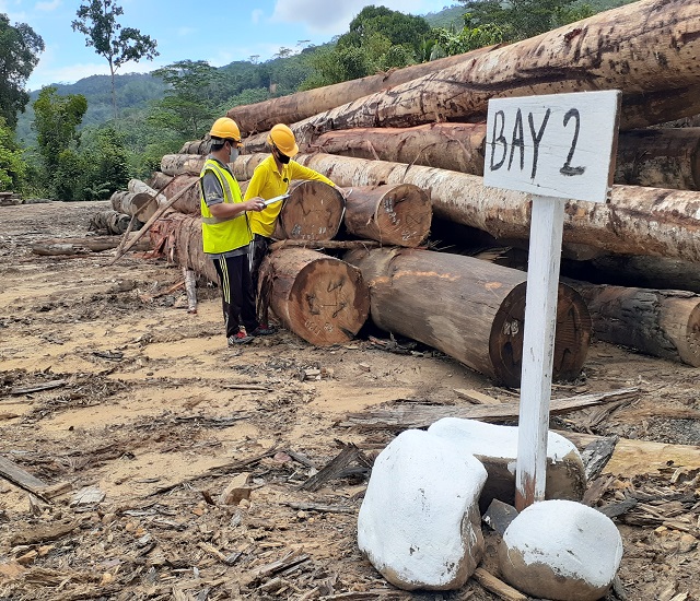 Asian Forestry Company (Sabah) Sdn Bhd