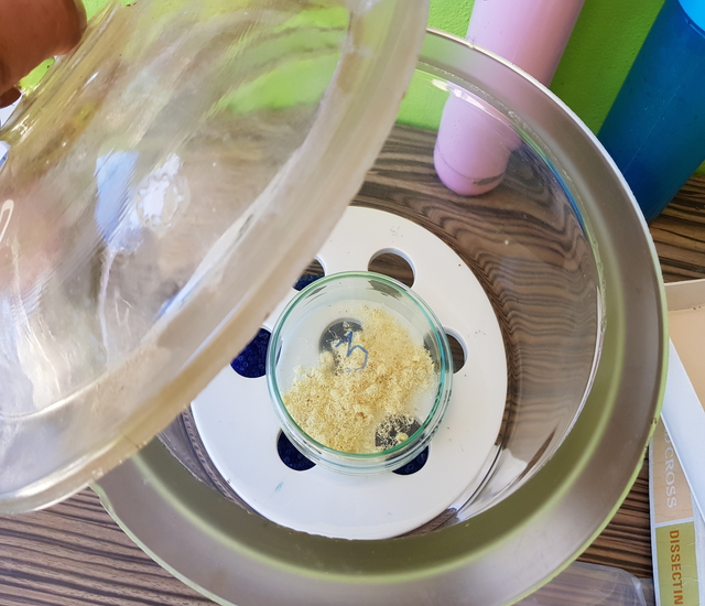 Asian Forestry Company (Sabah) Sdn Bhd